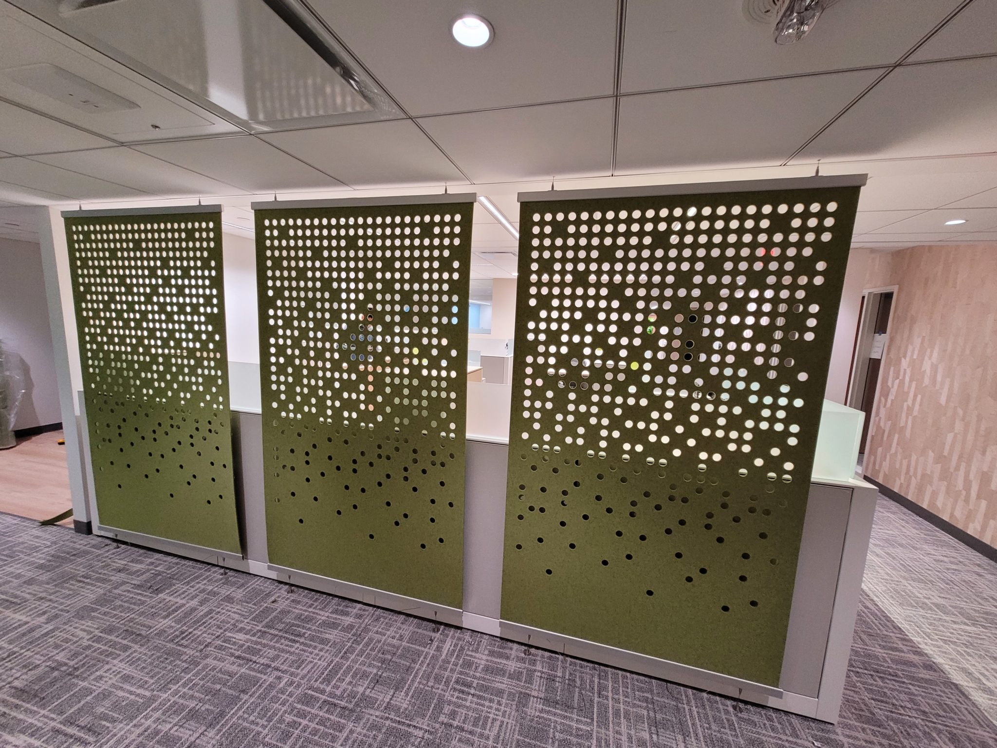 Harvard Business School - Shad Ops