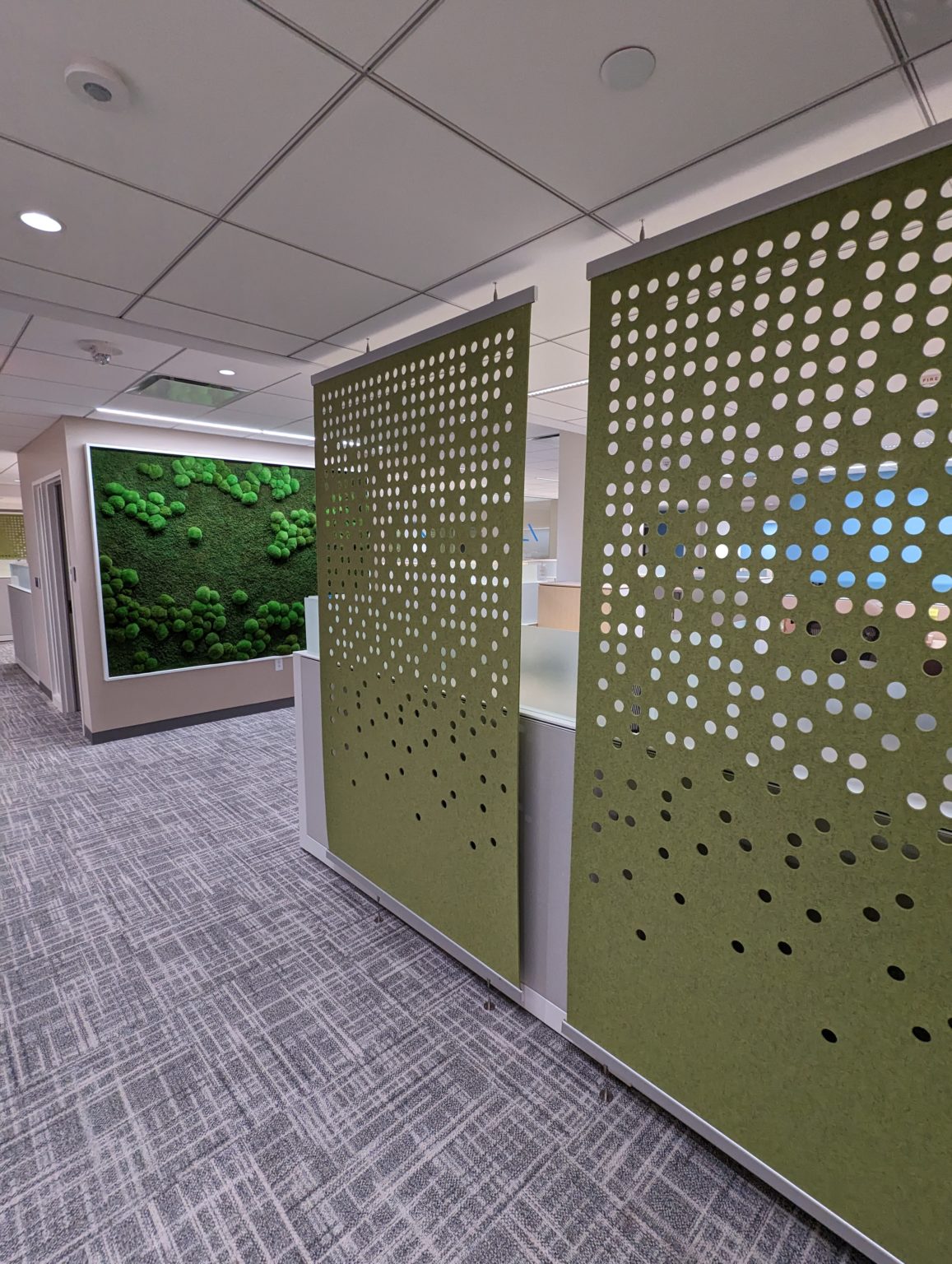 Harvard Business School - Shad Ops